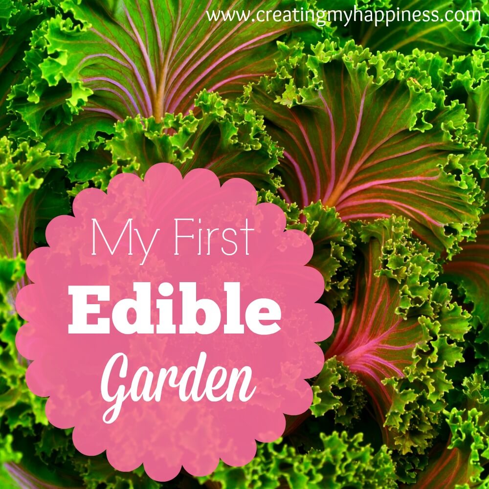 My First Edible Garden