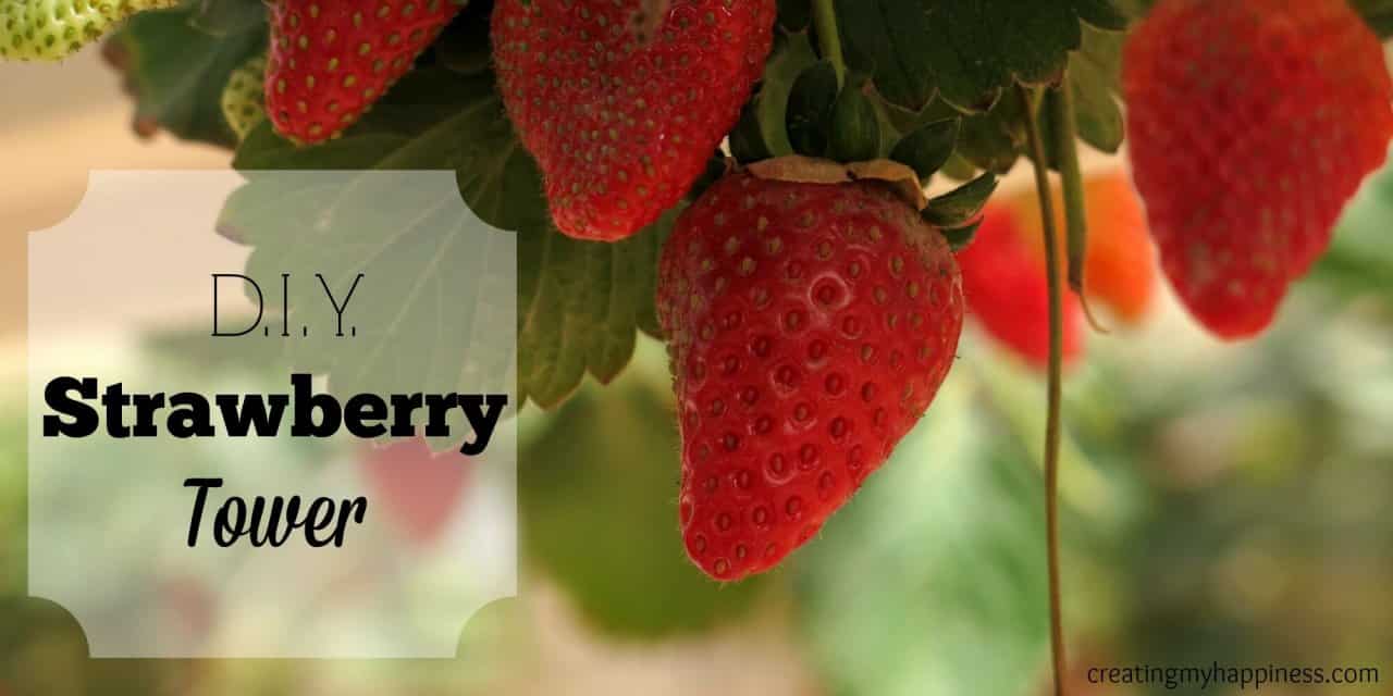 D I Y Strawberry Tower