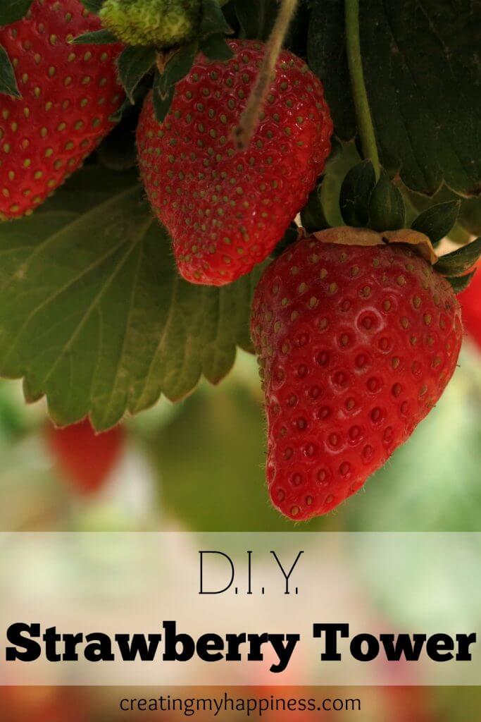 D I Y Strawberry Tower