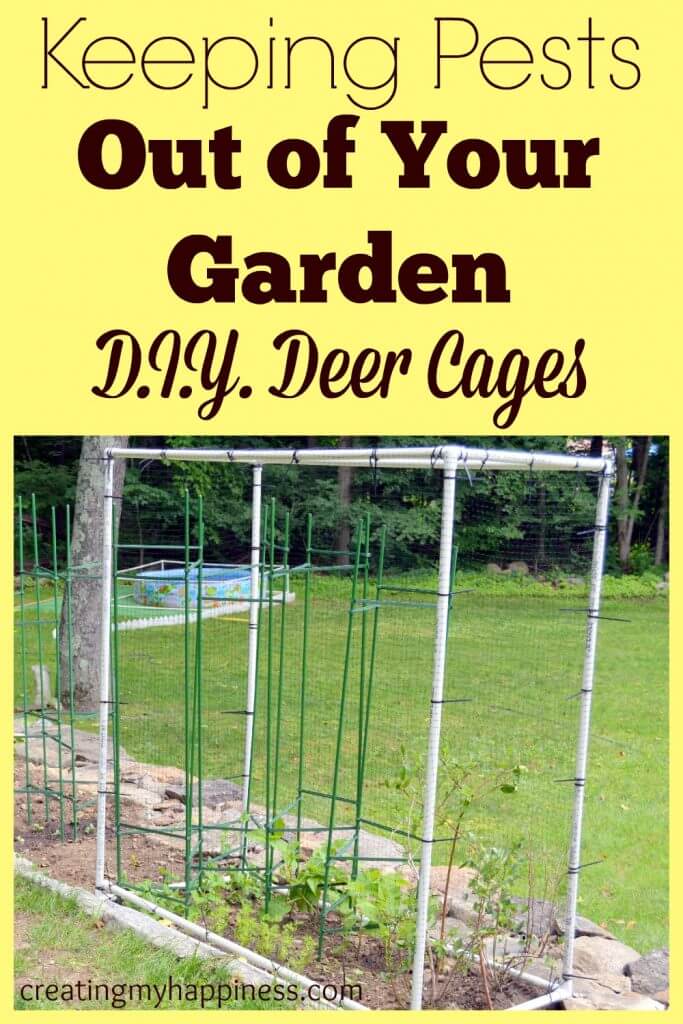 Keeping Pests Out of Your Garden: D.I.Y. Deer Cages
