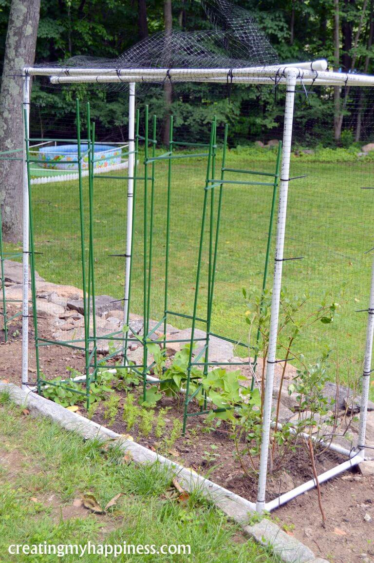 Keeping Pests Out of Your Garden: D.I.Y. Deer Cages