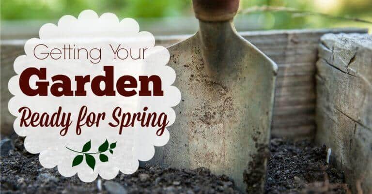 Getting Your Garden Ready for Spring