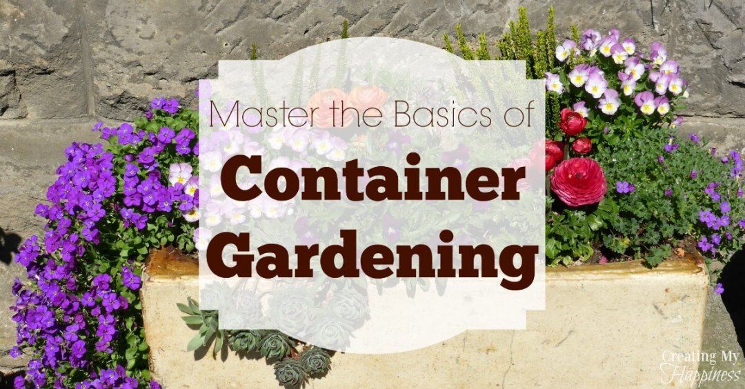 How to Master the Basics of Container Gardening | Container Planting ...