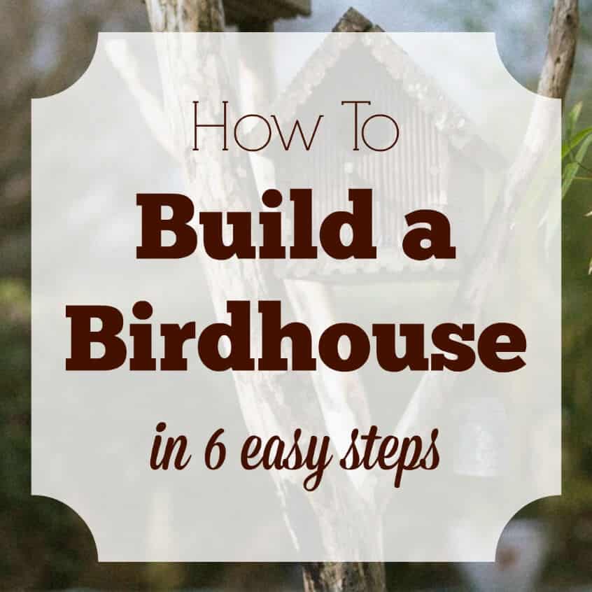 How to Build a Birdhouse in 6 Easy Steps